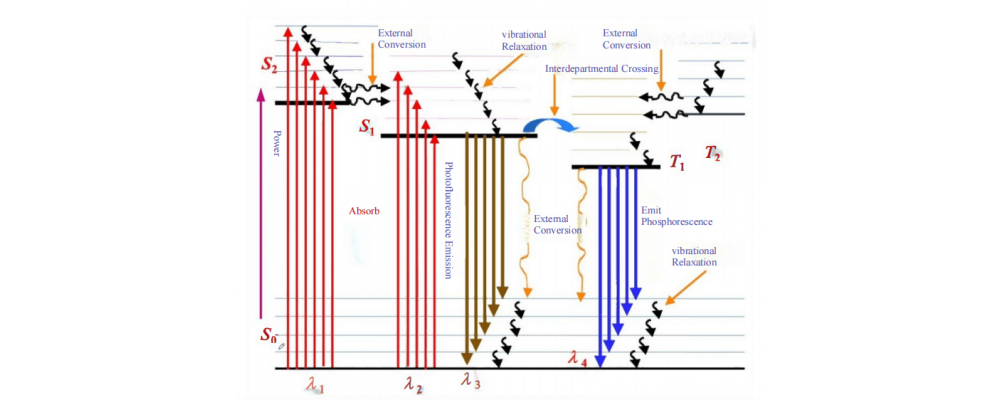 Fluorescence Principles and Analysis Techniques